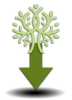 NFTC Logos - Nature and Forest Therapy of Canada
